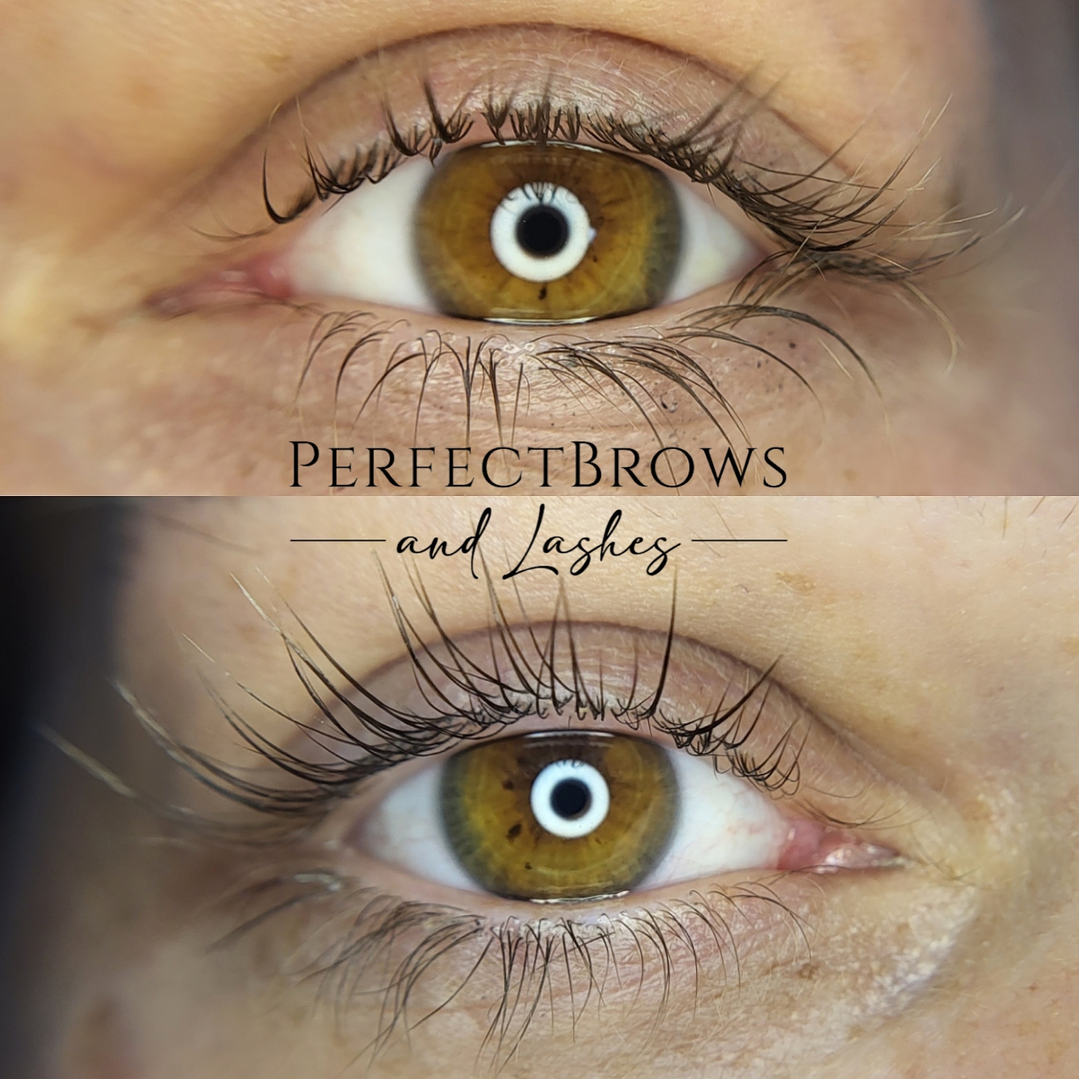 PerfectBrows* & Lashes Luzern • Lashlifting